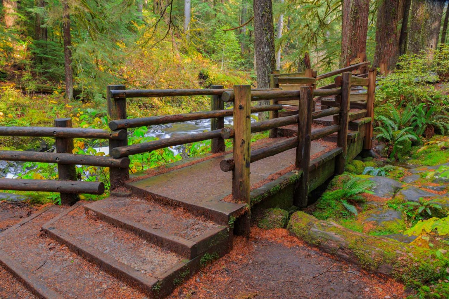 34 Amazing Things to do in Oregon in 2023 - The Planet D