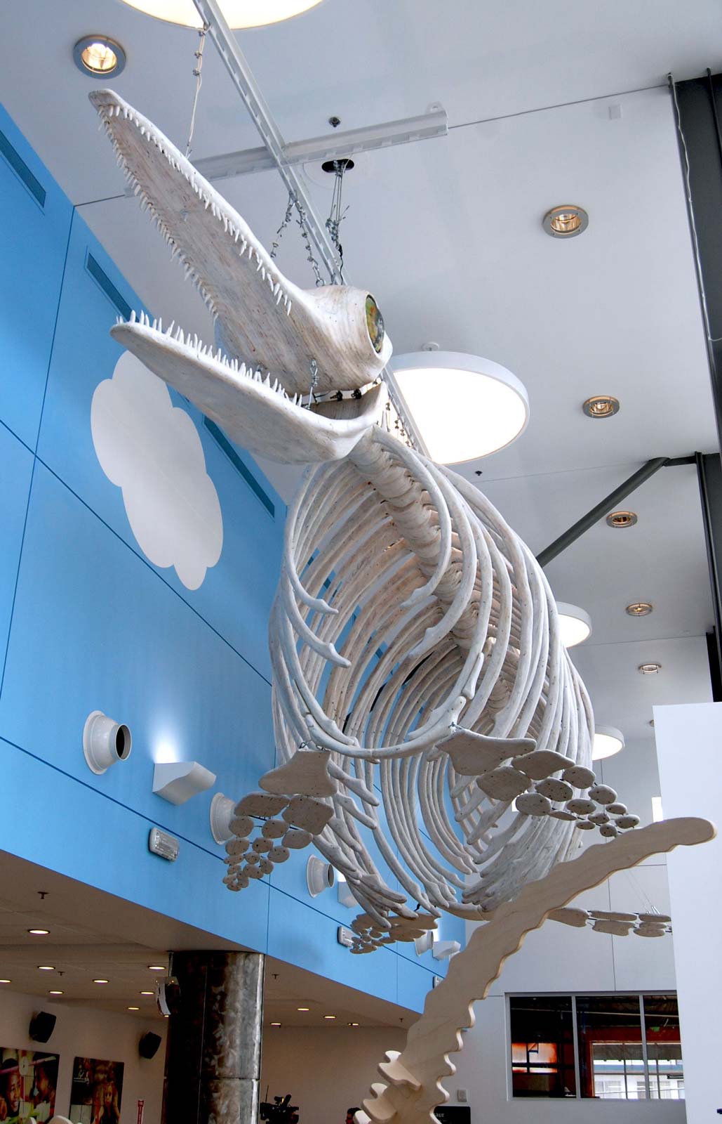 30 Best Things to Do in Reno, NV in 2024 - The Planet D