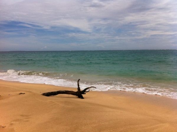 What you Need to Know to Travel to Tonga | The Planet D