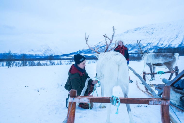 8 Amazing Winter Adventure Activities in Tromso, Norway