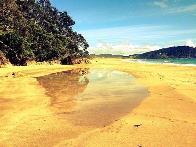 13 Unique Beaches To Visit in Your Lifetime | Travel Blog | The Planet D