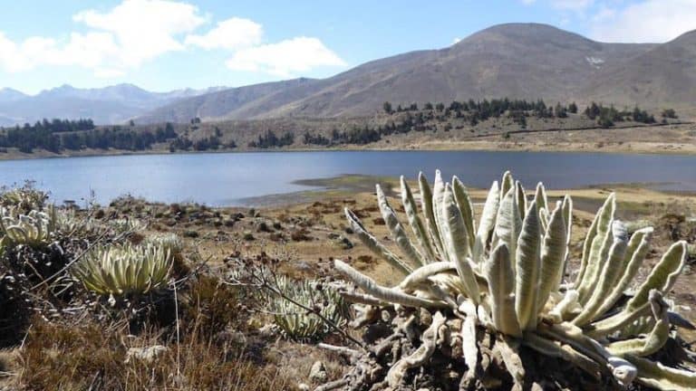 The Ultimate Venezuela Travel Guide (Updated 2021) | The Planet D