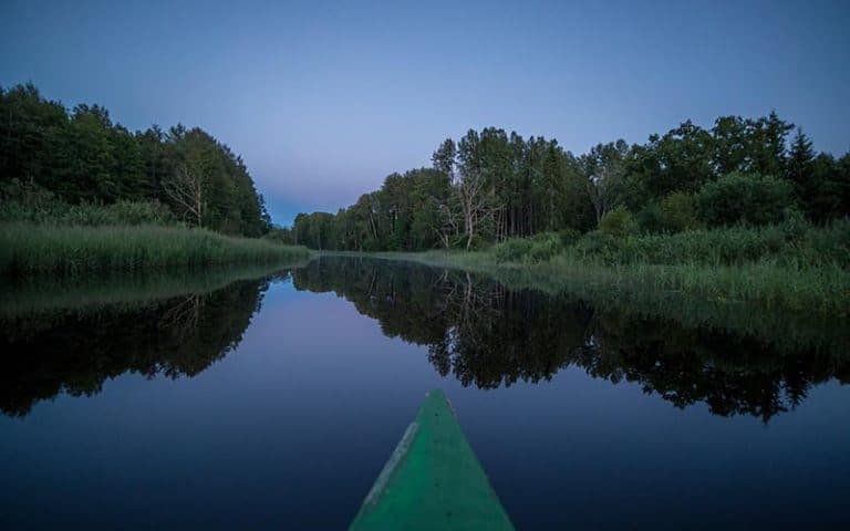 6 Things to do When You Visit Estonia | The Planet D