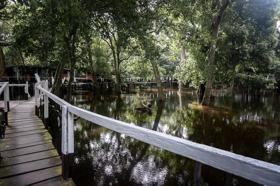 Everything You Need to Know About Visiting the Bolivian Amazon