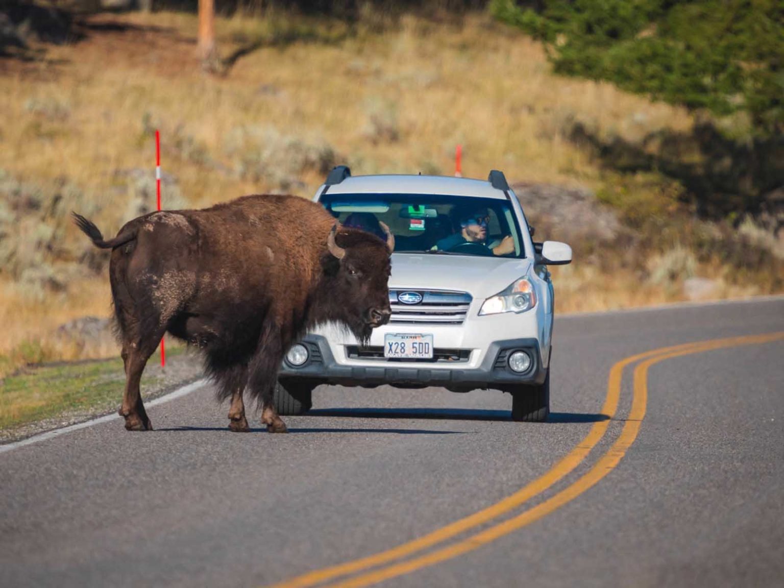 Where to Stay in Yellowstone National Park - Guide to the Best Hotels ...
