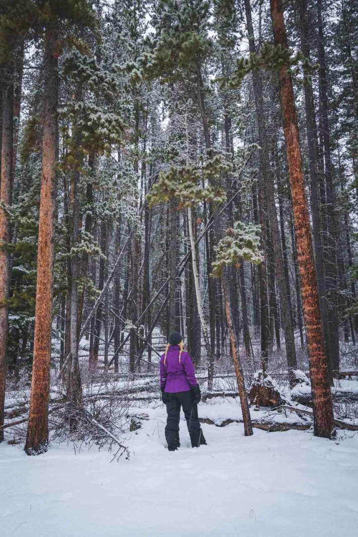 31 Awesome Activites to Enjoy in Winter in Alberta - The Planet D